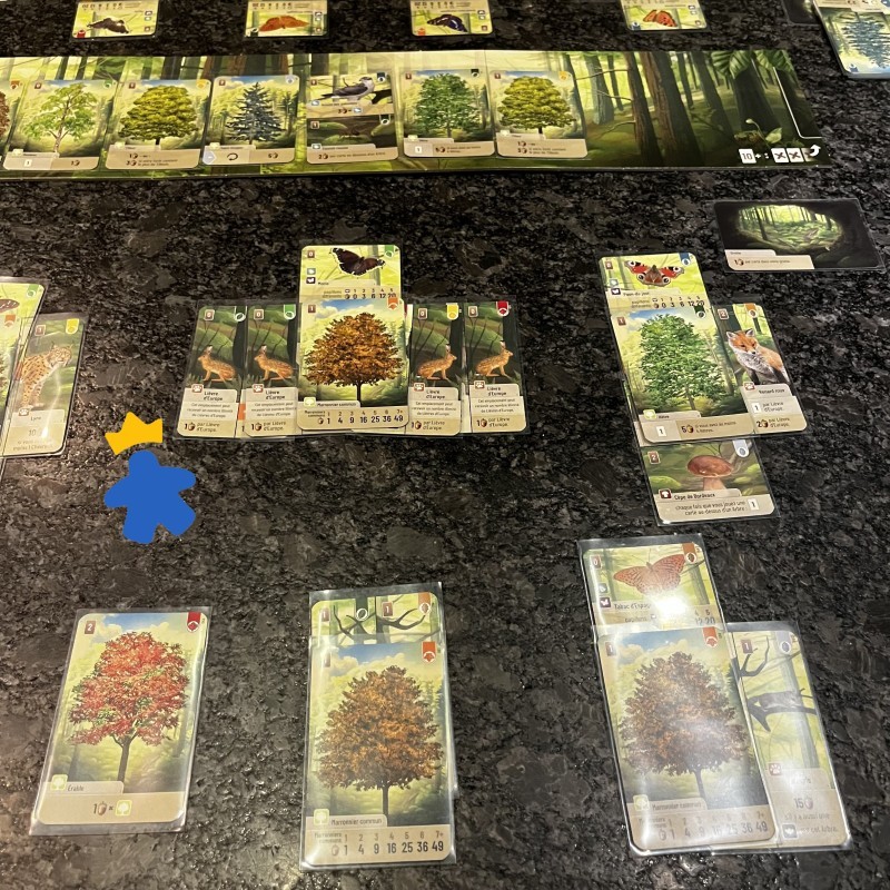 Forêt Mixte - Jeu de stratégie, de collection et combinaison de cartes