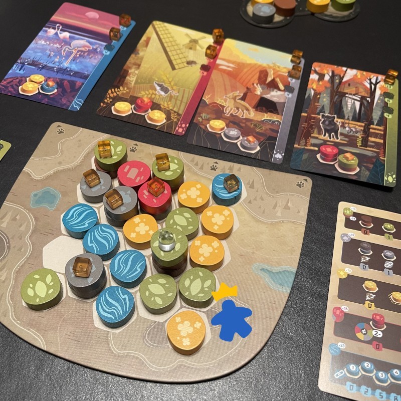 Harmonies - Jeu de société, construction et placement - Meepland