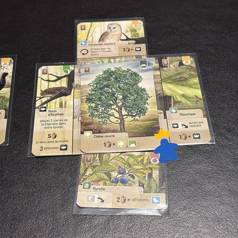 Forêt Mixte Dartmoor - Top jeu de collection et combinaison de cartes