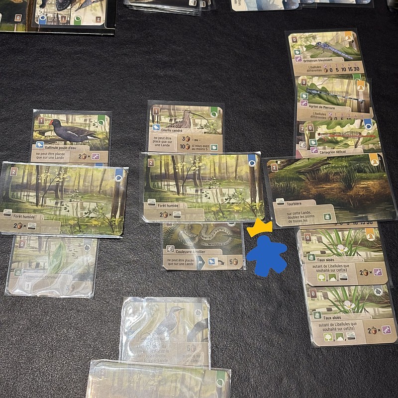 Forêt Mixte Dartmoor - Top jeu de collection et combinaison de cartes